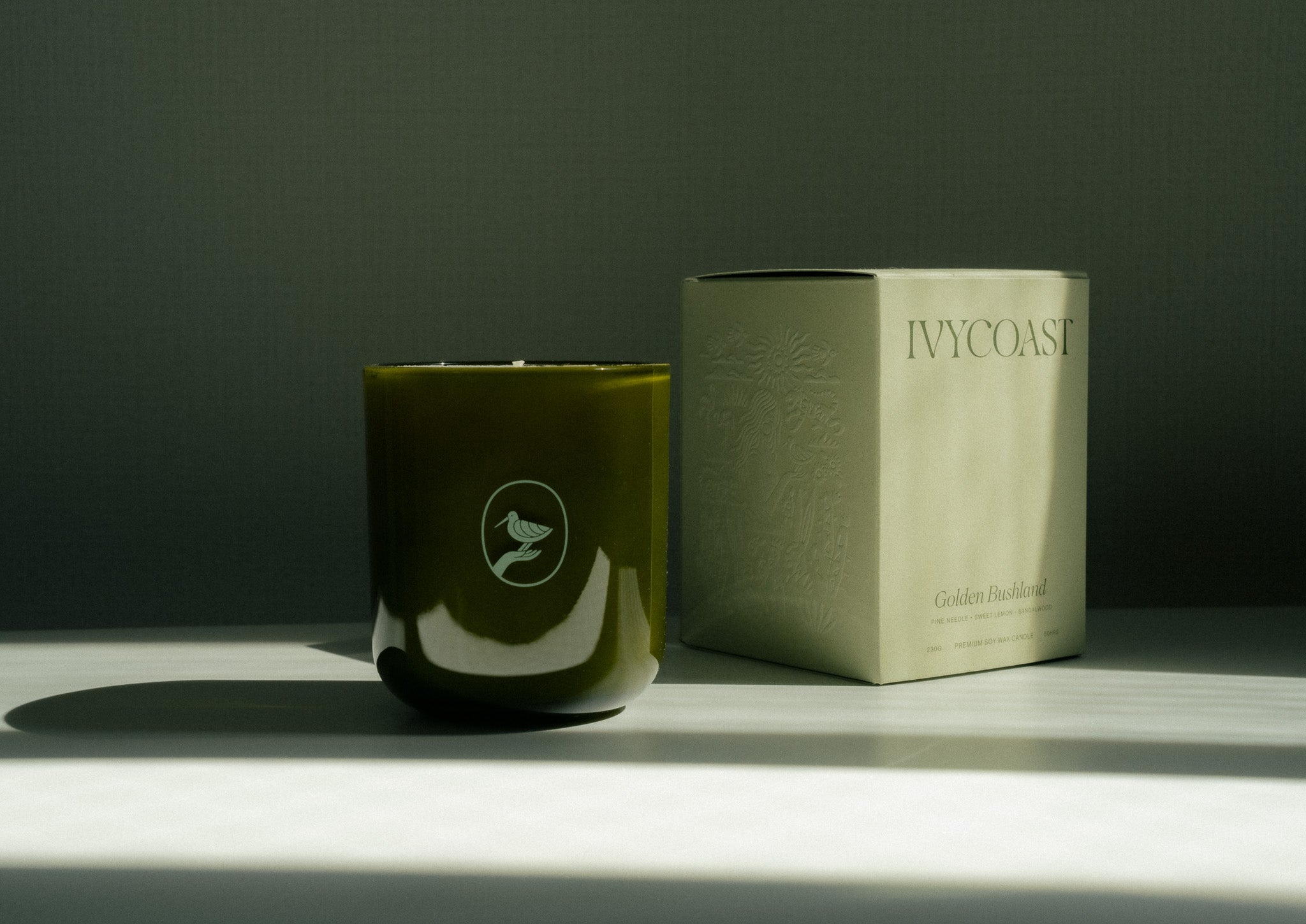 Ivycoast