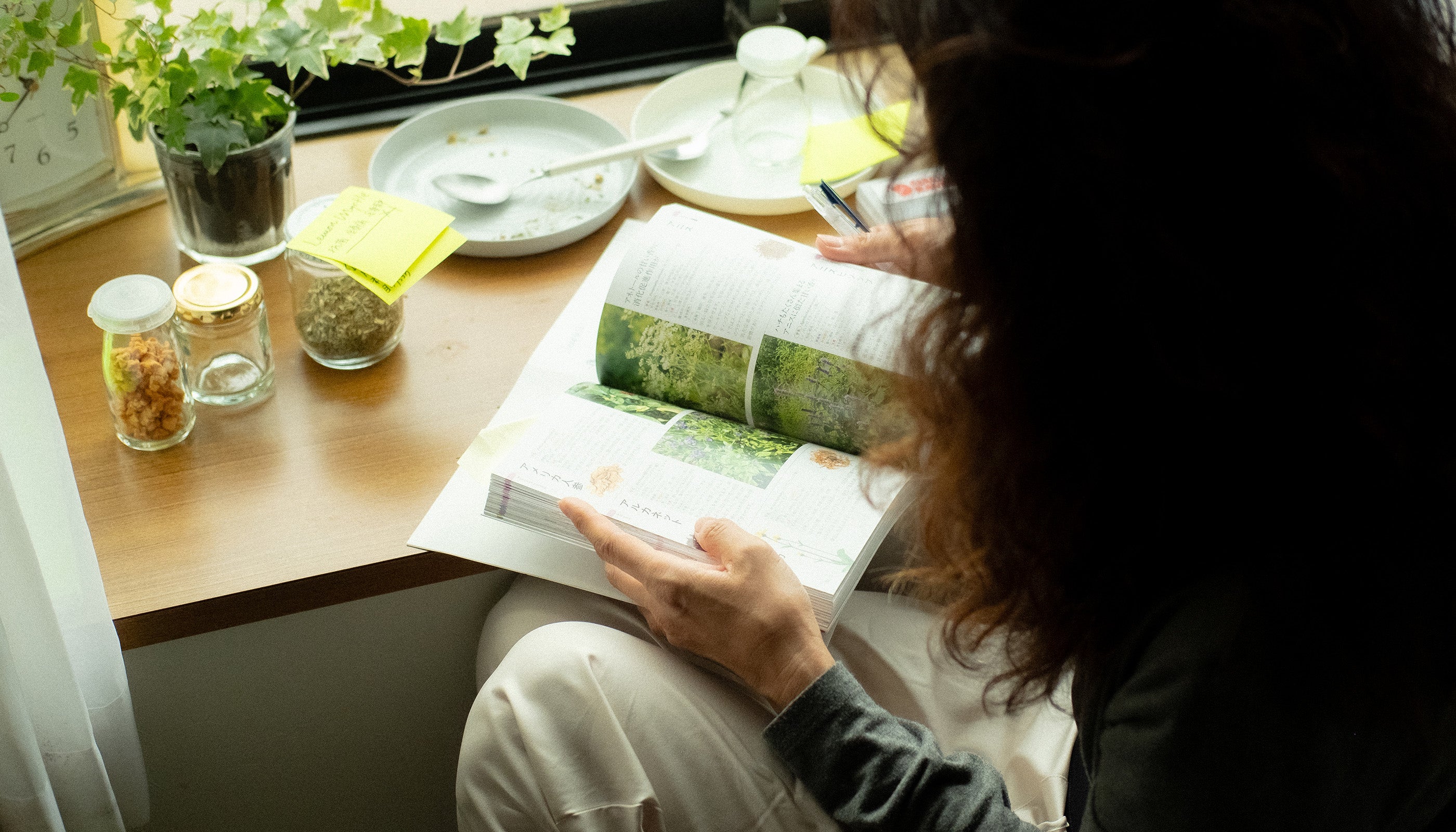 Journal – Ivycoast